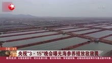 央视"3·15"晚会曝光海参养殖放敌敌畏