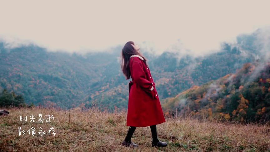 #摄影 甘海子一日游 使用智云微毕S稳定器 索尼A73 24GM拍摄