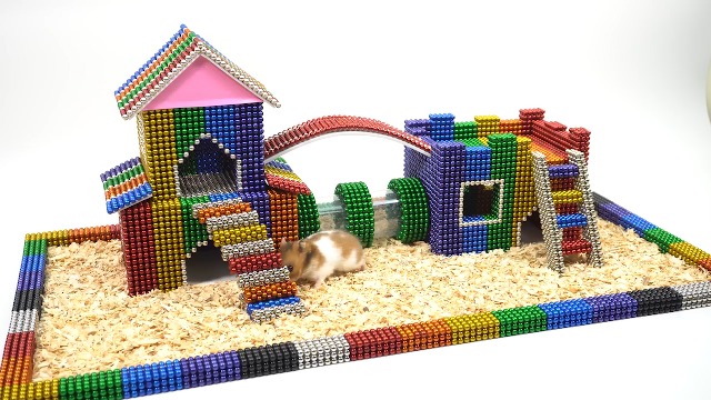 小伙用15000颗巴克球,为仓鼠制作“房子”,真有钱又闲