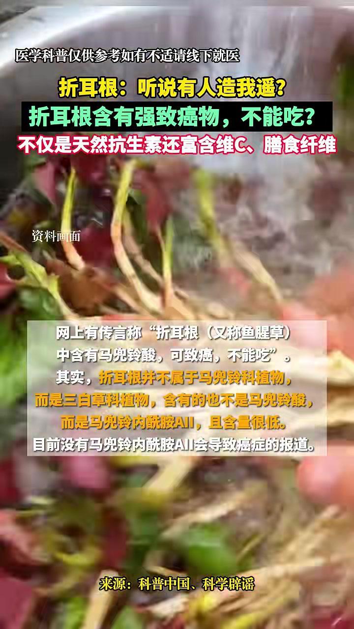折耳根含有强致癌物,不能吃?不仅是天然抗生素还富含维C、膳食纤维,...