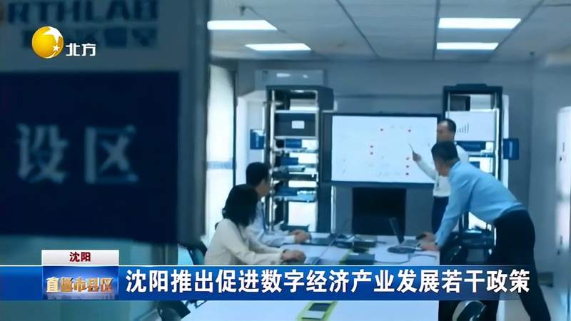 沈阳推出促进数字经济产业发展若干政策