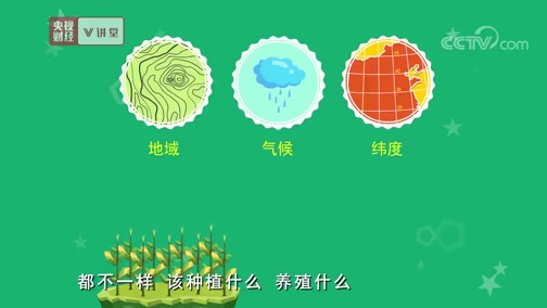 《央视财经V讲堂》 20190625 家乡要发展 怎么规划才最好?