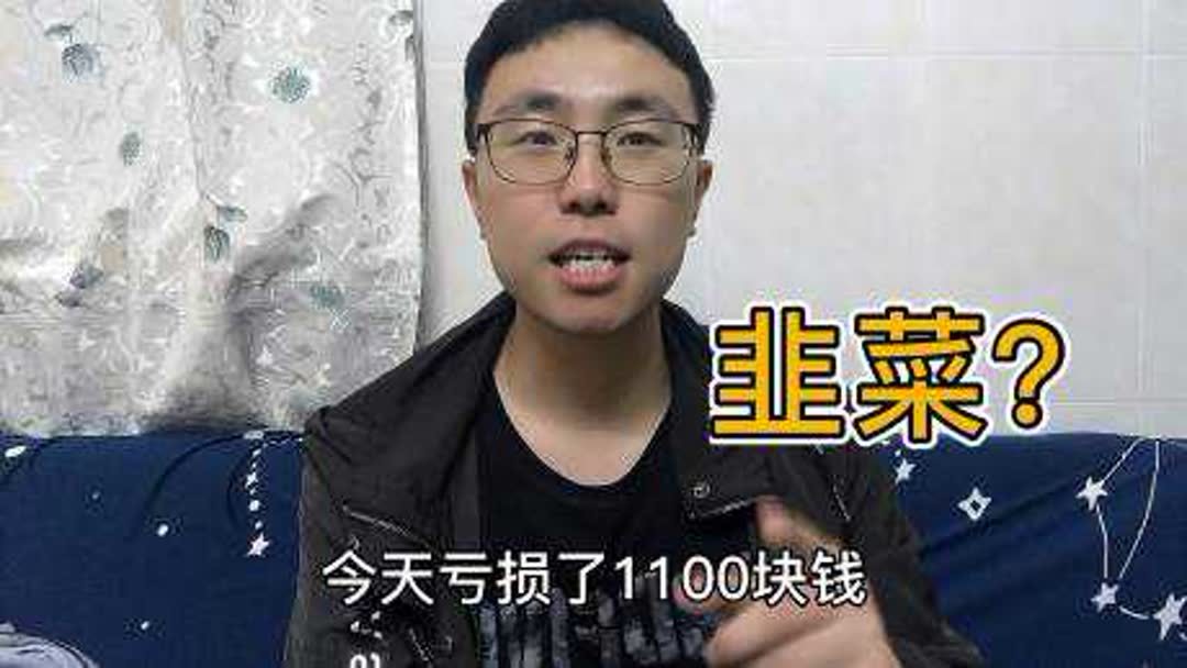 打工仔用积蓄买基金,一天亏损1100块,这是韭菜吗?