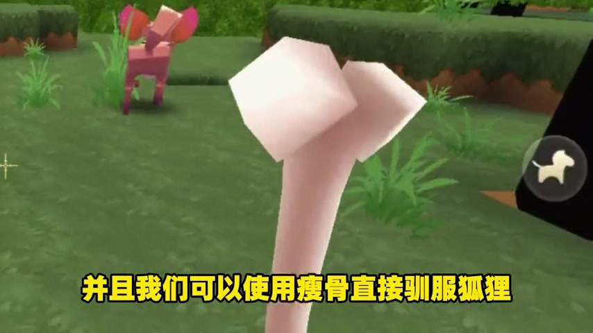 迷你世界:狐狸的“高级形态”会进化成人类,绮梦灵狐华阳是狐狸