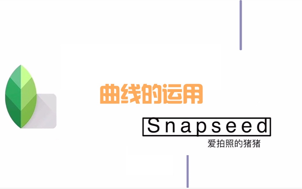 连曲线都看不懂,还敢说你会snapseed手机修图