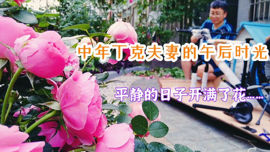 丁克夫妻组装490元买的自行车,你永远不知道惊喜和意外那个先来