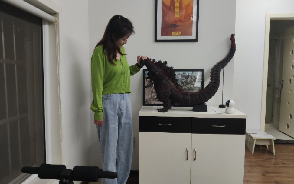 普通模型玩家的爱好收藏2!【模型展示柜分享与介绍】