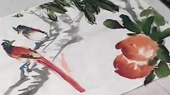 写意画教学 — 寿带鸟的画法,国画自学教程系列