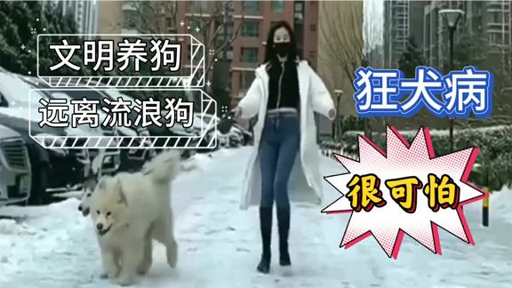 狂犬病一旦发作,触目惊心无药可治!养狗需谨慎,远离流浪狗