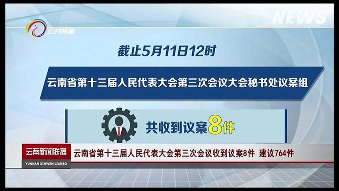 云南省第十三届人民代表大会第三次会议收到议案8件 建议764件