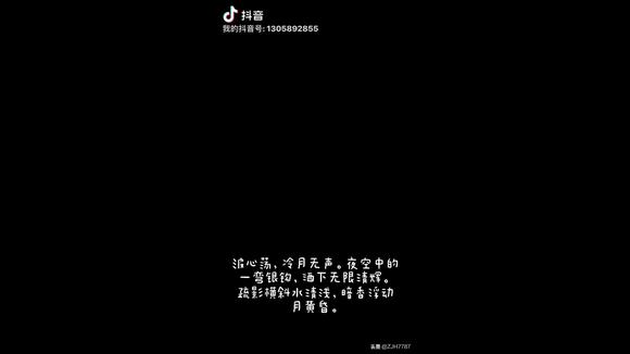 中天花园仲夏夜
