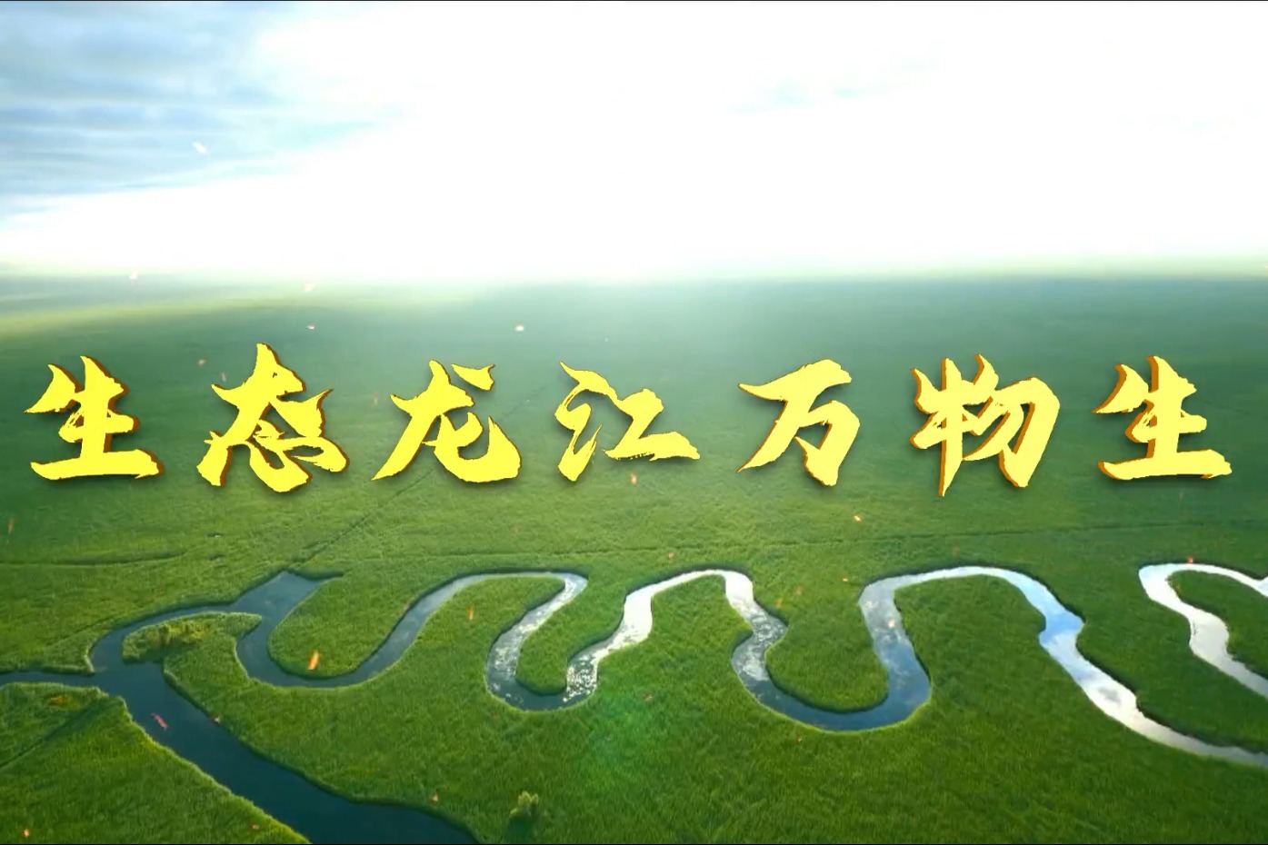 保护生物多样性 | 主题宣传片:生态龙江万物生