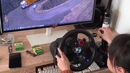 在电脑上模拟开车,幸好不是在道路上实际操作,他的技术绝对是马路杀手!