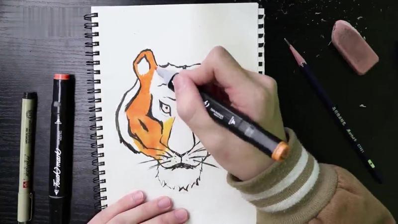 如何画凶猛老虎的简笔画