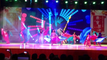 肚皮舞协会迎新春晚会20180113