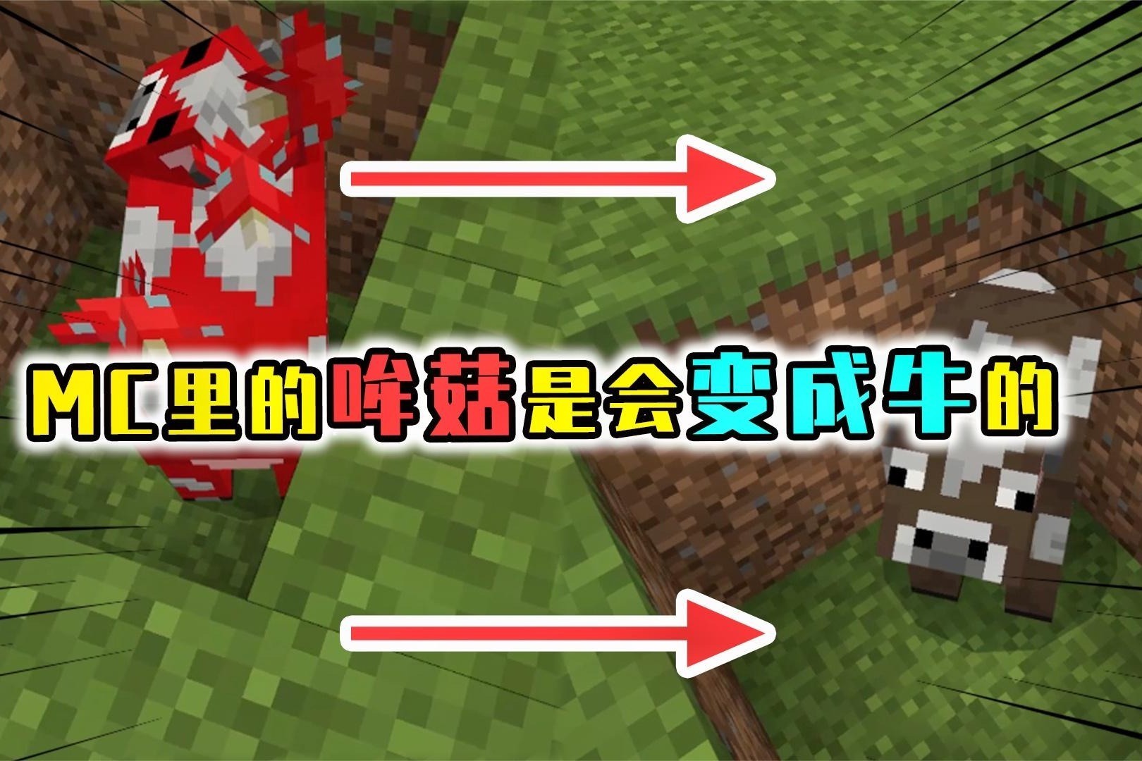 我的世界:盘点MC的神秘冷知识,你知道神奇坐标0-0吗?