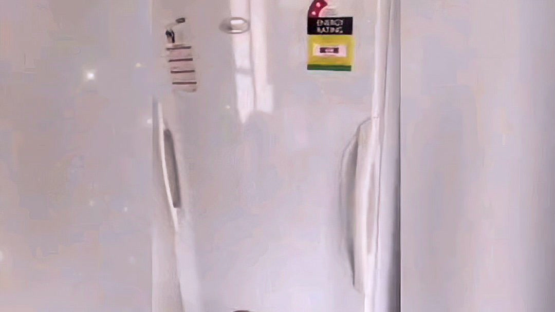 这个双开门冰箱感觉有点奇怪,你们觉得呢?