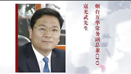 白万纲—卓越集团管控系列之财务管控-第十三集 集团财务管控访谈(上)