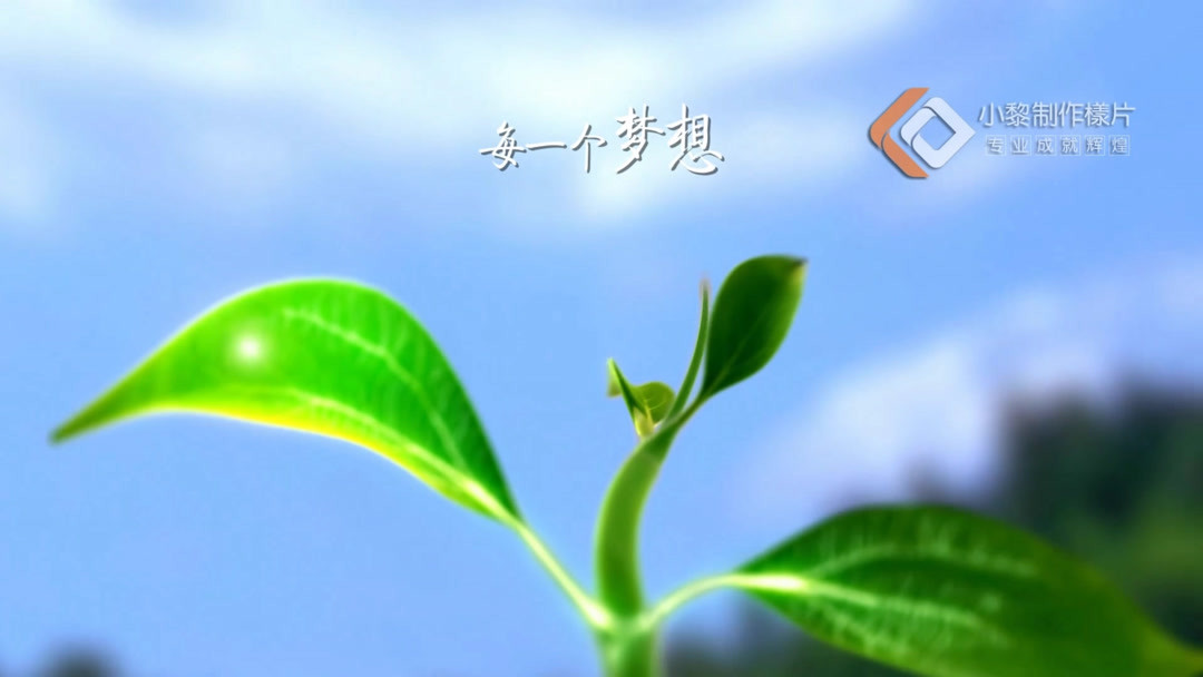 年会节目 年会宣传片 年会片头 企业年会策划 公司年会 年会创意