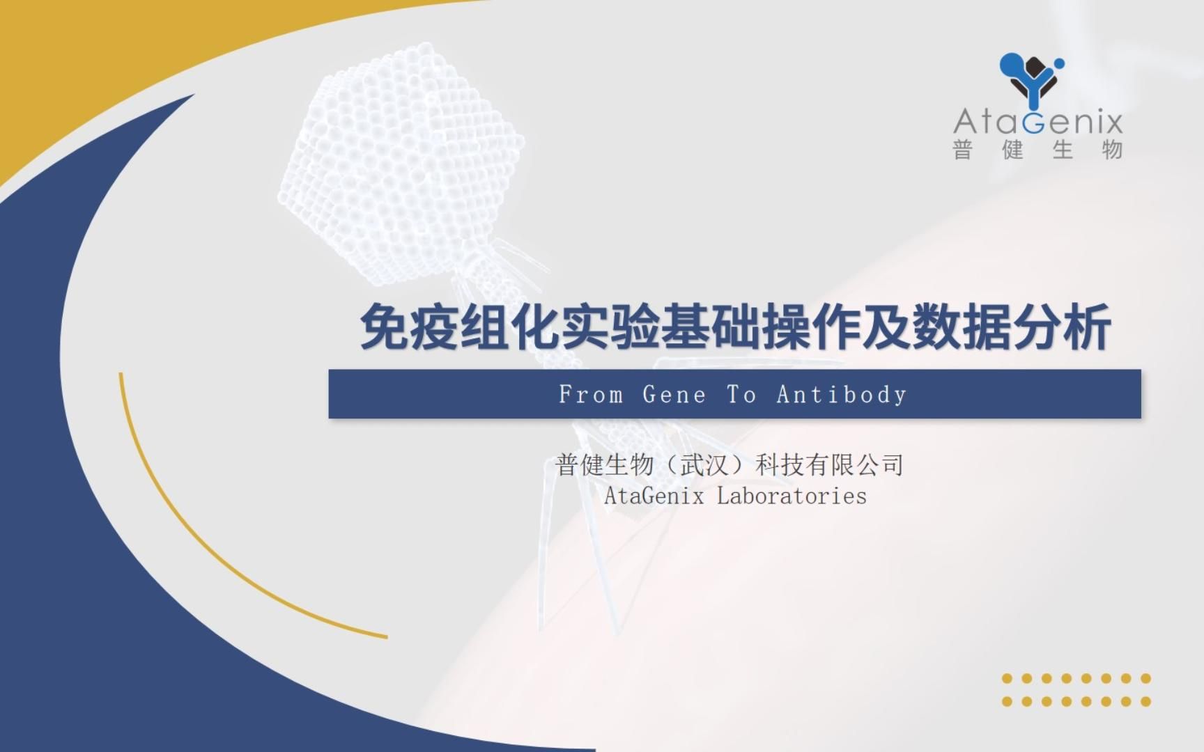 【基础实验一篇搞定】免疫组化——IHC实验基础操作
