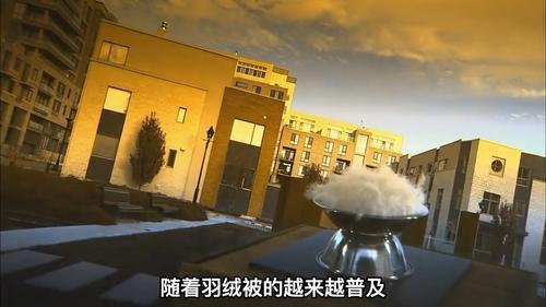 我们天天盖的羽绒被,竟然是经过层层加工的羽绒,怪不得这么舒服