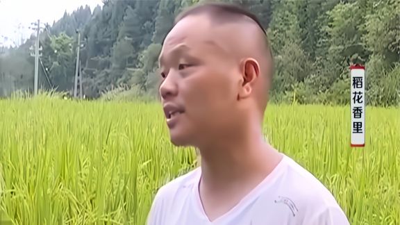 种植有机水稻没有施化肥 杂草与水稻并存 种植户想出妙招