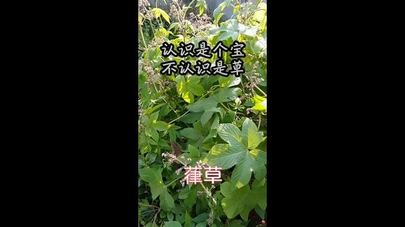 要有一双发现宝贝的眼睛ߑ