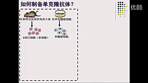 微课(单克隆抗体的制备)视频