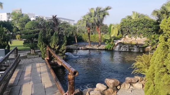 头痛鼻塞流涕感冒太难受了#治愈系风景