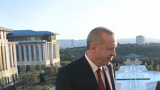 土耳其总统再次呼吁俄乌领导人来土会晤