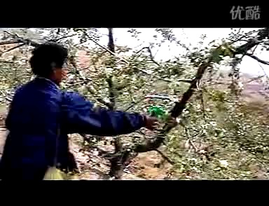 金枪手果树花粉授粉器使用说明