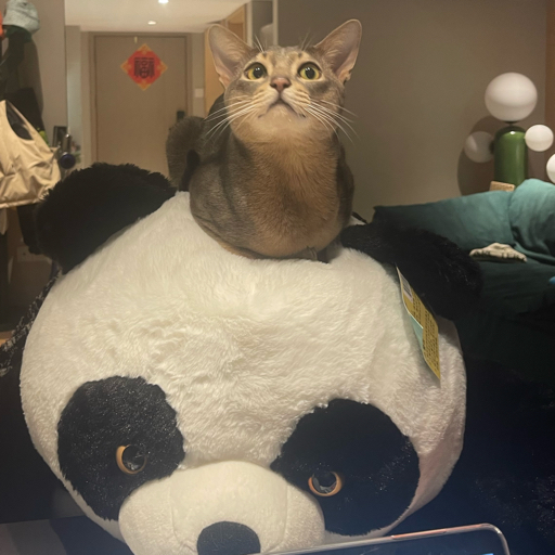 JingleLuo 