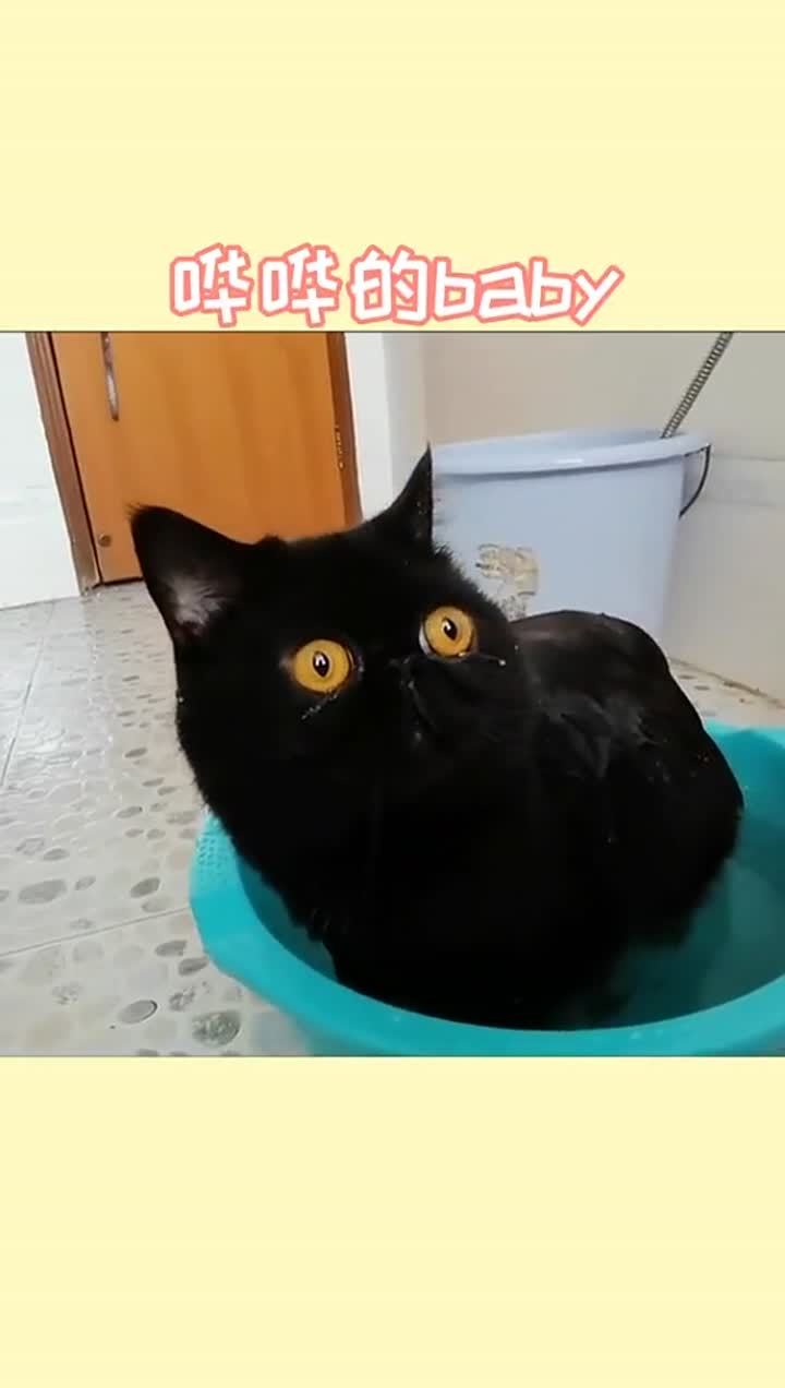 画画的本以为是个实心的,没想到洗掉了两斤墨水,哈哈?