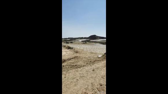 宁夏的硒砂瓜开始种植了,香甜爽口!