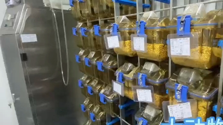 医疗器械大动物实验中心,大动物实验外包服务