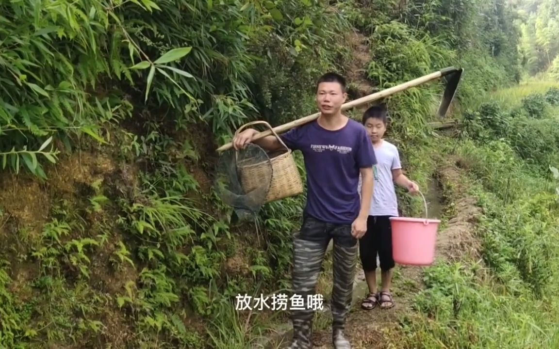 3亩稻田放养600条鱼,经过半年自然生长后把水放干看看还剩多少