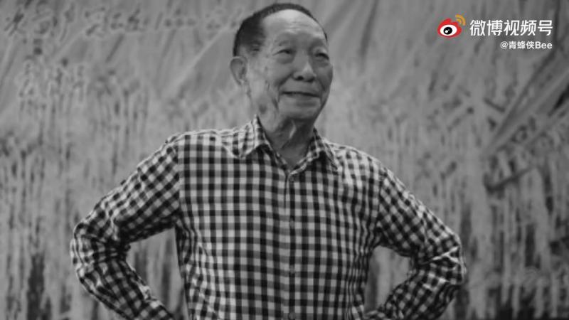 #袁隆平逝世#【袁隆平院士在长沙逝世 享年91岁 百秒回顾袁隆平院士...