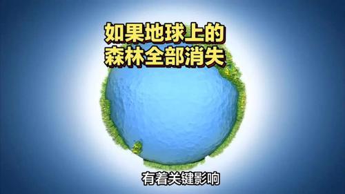 如果地球上的森林全部消失,将会发生什么呢#涨常识啦 #探索发现