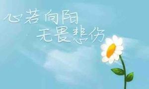 南音雨阁如似婉 