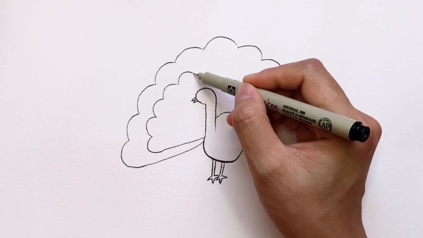 孔雀开屏怎么画简单又好看?