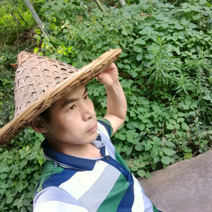 农村俊锅（绿植） 