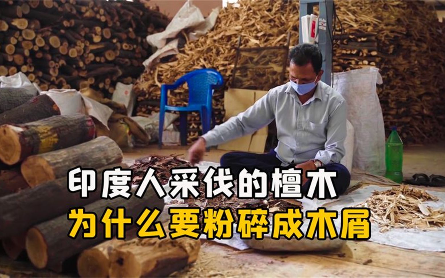 印度人为什么要把檀木粉碎?檀木粉碎以后,能起到什么作用?