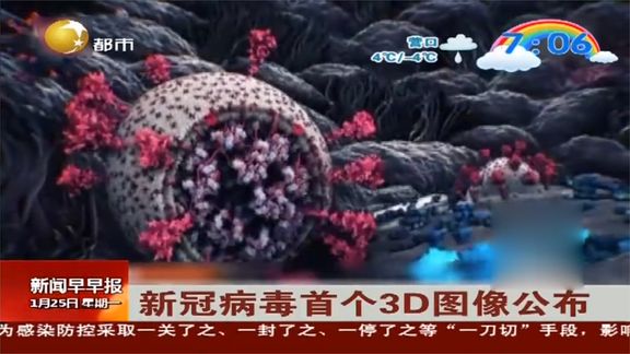 新冠病毒首个3D图像公布