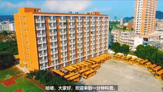 为何私立学校教出的学生成绩都比公立学校好?真相并不简单