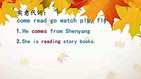 英语教学视频冠词课件