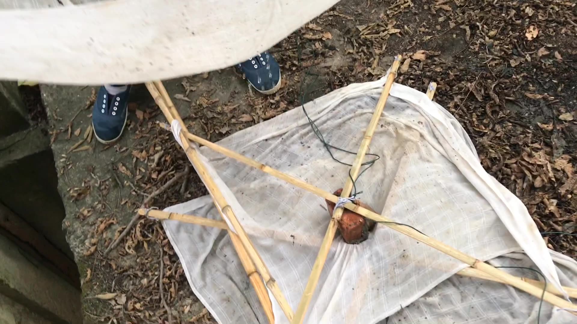 半小时爆护!老祖宗留下的捉虾神器,其效果秒杀现如今任何地笼