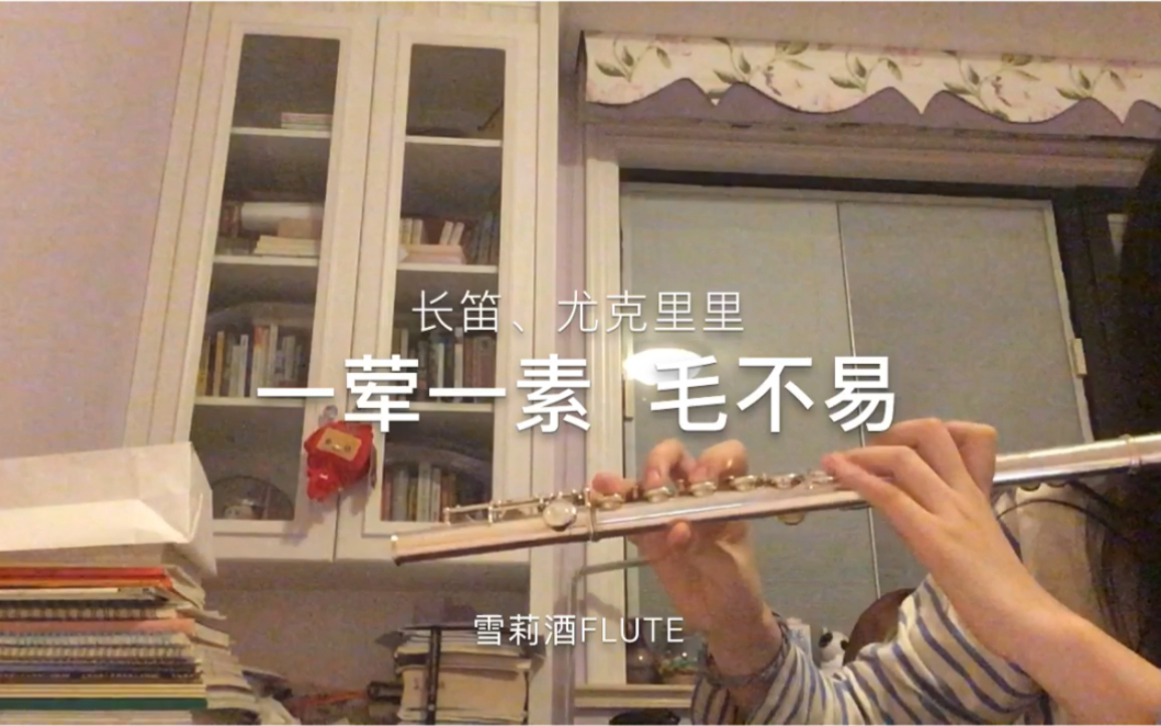 【长笛、尤克里里】一荤一素(毛不易)翻奏