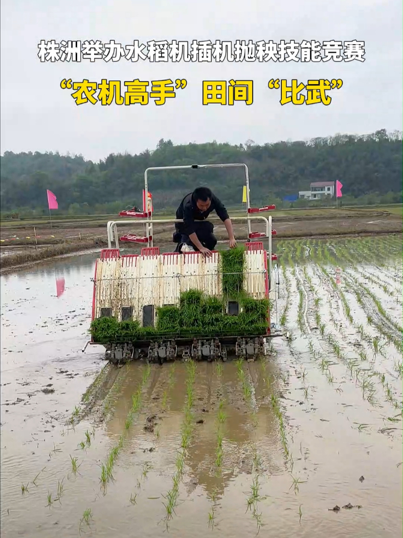 株洲举办水稻机插机抛秧技能竞赛