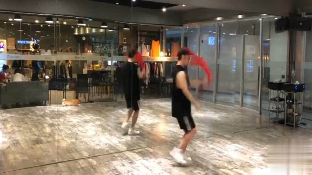 《归去来兮》舞蹈 镜面教学及分解动作