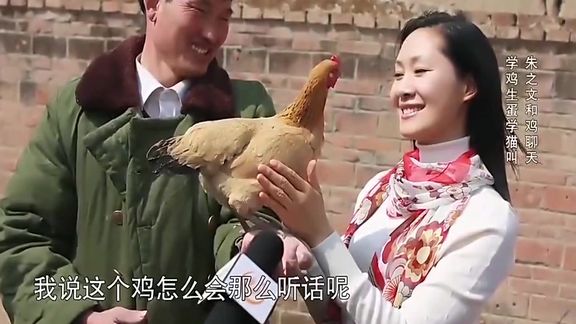 朱之文模仿老母鸡下蛋!动作真滑稽,于文华一脸懵圈!